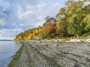 Alki Beach: Discover West Seattle's Beloved Beach Spot - Emerald City Dream