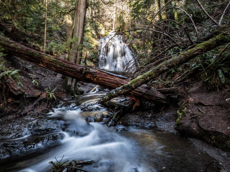 12 Breathtaking Islands Near Seattle for a Memorable Getaway - Emerald ...