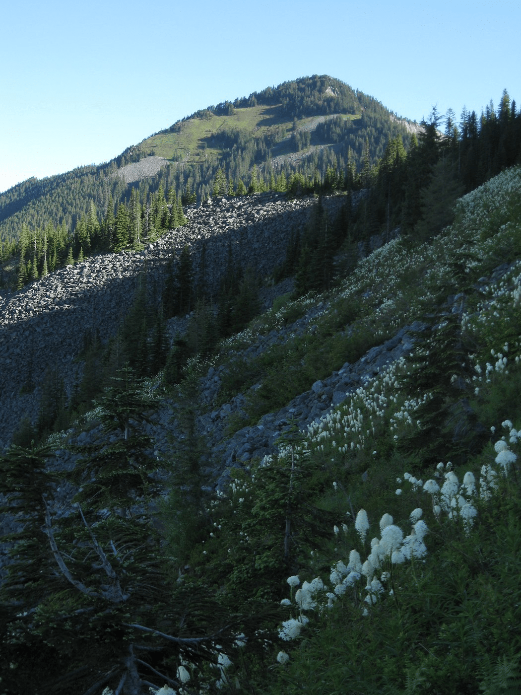 The 25 Best Hikes Near Seattle (Closeby & Weekend Trips) - Emerald City ...