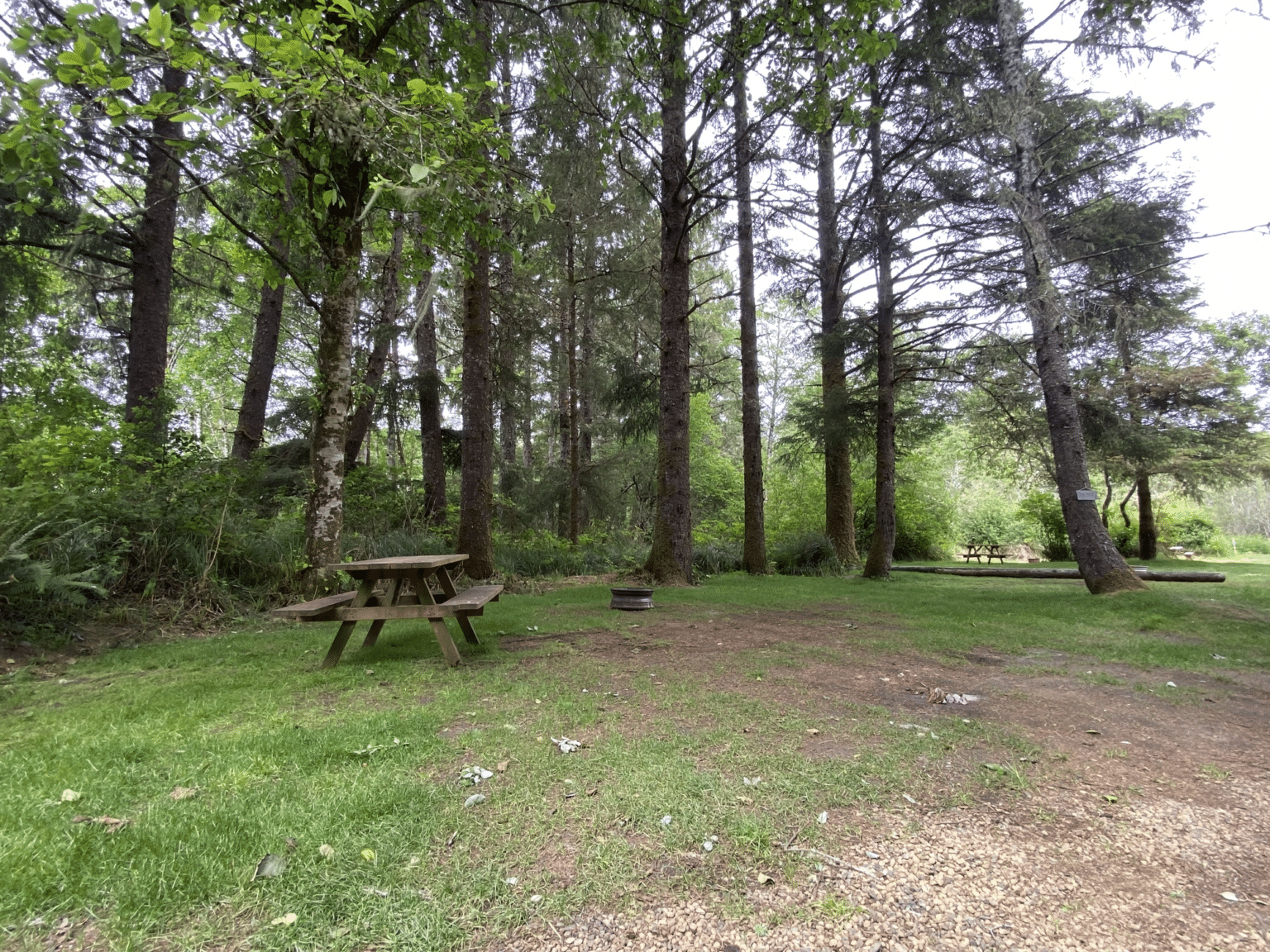 20 Breathtaking Washington Coast Camping Spots (& Glamping) - Emerald ...